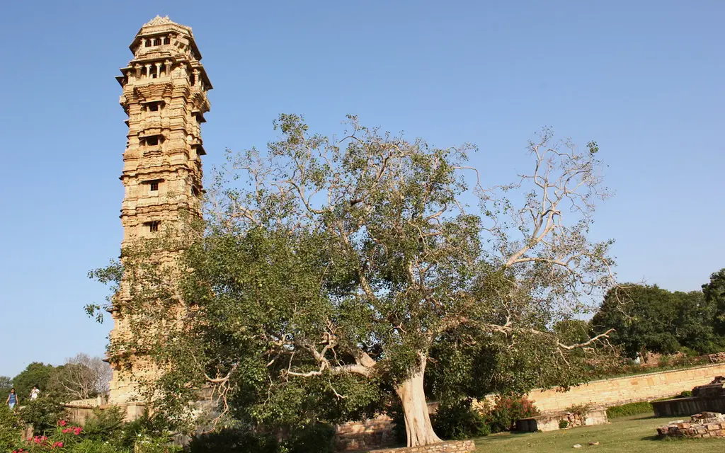 Vijay Stambh (Victory Tower) Chittorgarh
